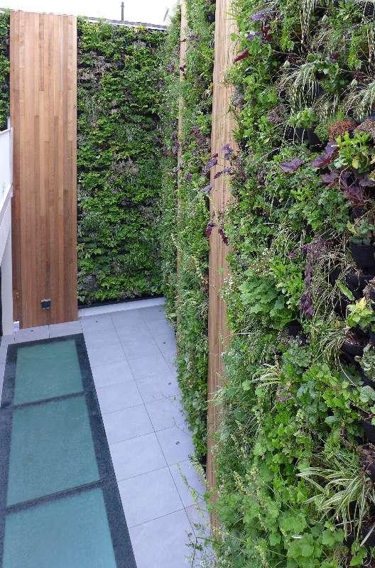 Green Zone Garden Design | Leicestershire | London Stone