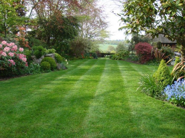 Manoj Malde Garden Design | Hertfordshire